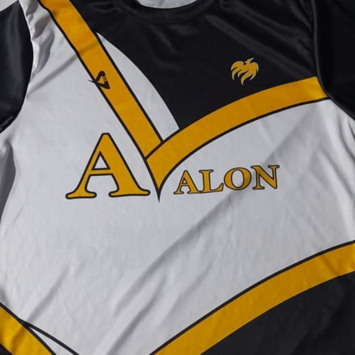 Avalon School - Avalon's Success at Liverpool FC's Training Ground